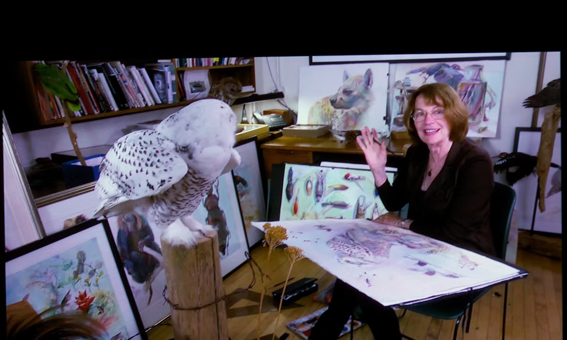 Peggy MacNamara Collection, Art & Gifts | Field Museum Store