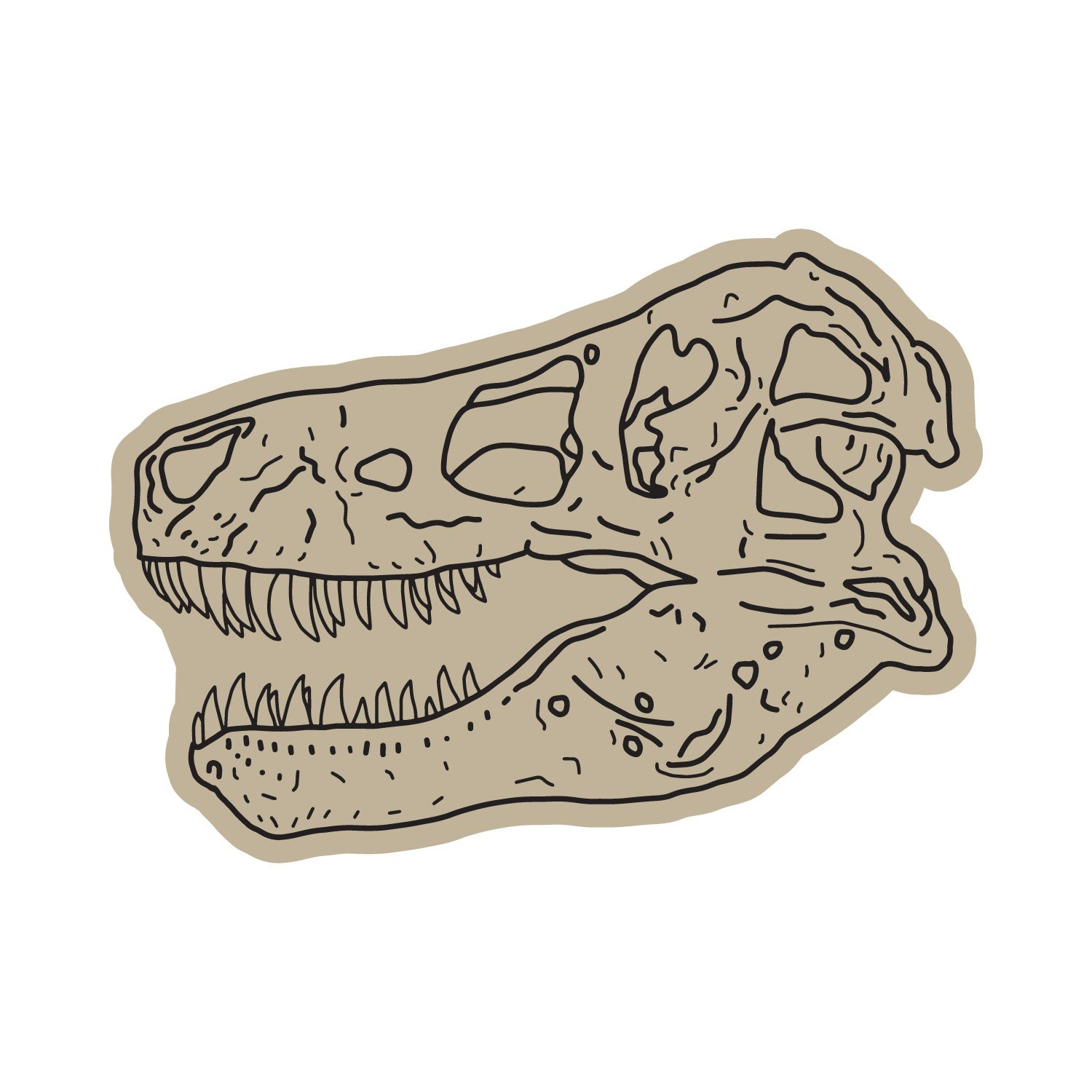 T. rex Skull Sticker – Field Museum