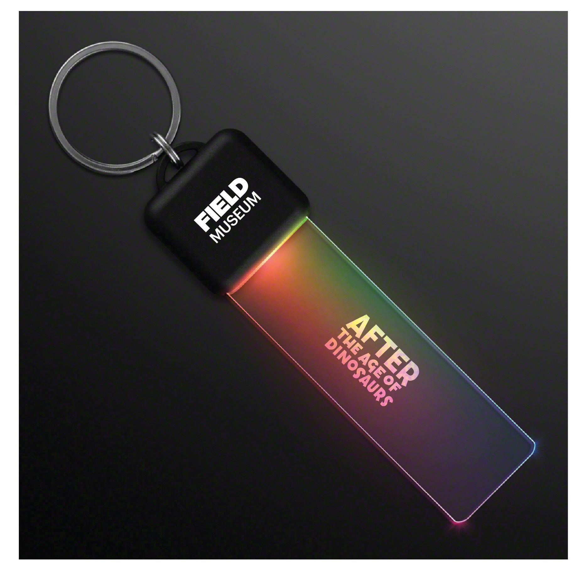 After The Age Of Dinosaurs Keychain – Field Museum